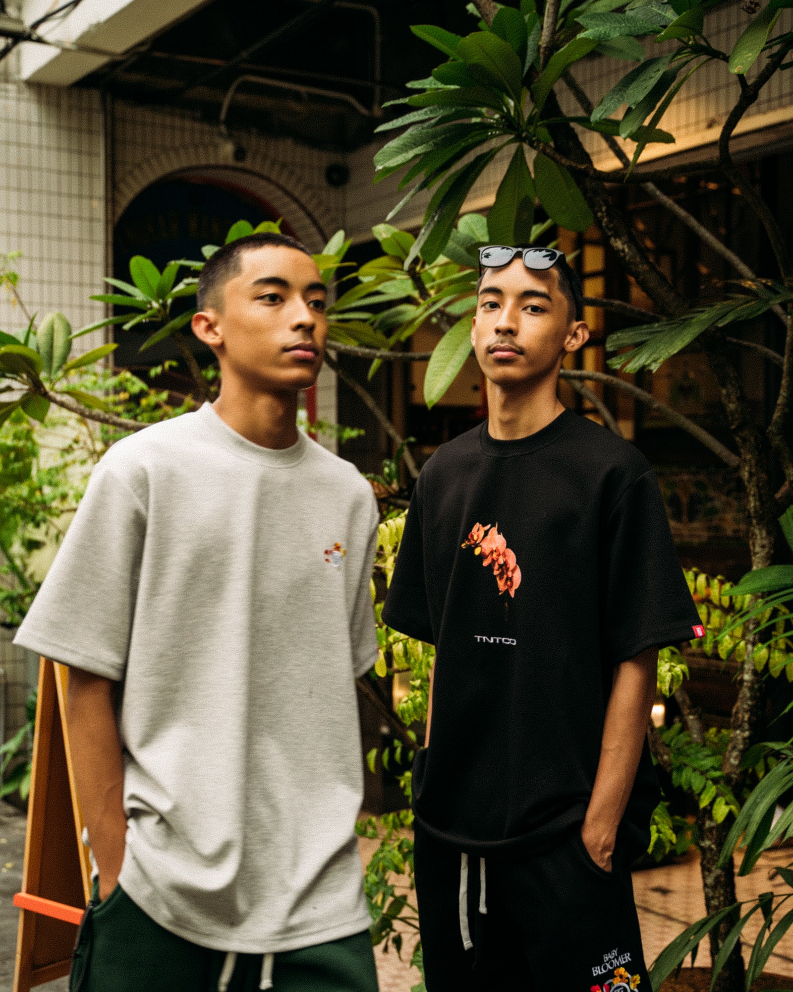 Blooming Eternity – TNTCO